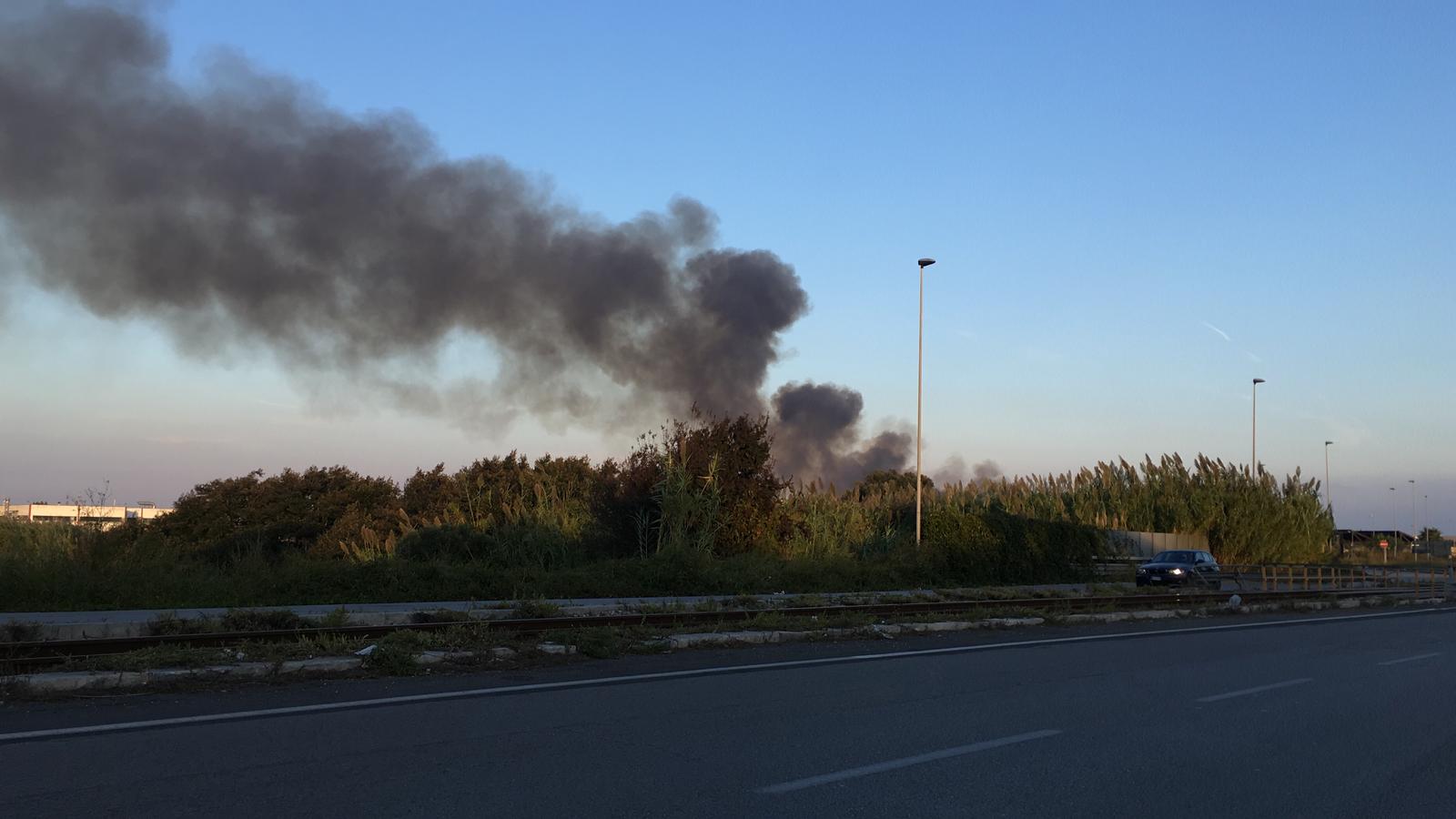 VASTO INCENDIO NELLA ZONA INDUSTRIALE DI BRINDISI. A FUOCO IL CANNETO ... VASTO INCENDIO NELLA ZONA INDUSTRIALE DI BRINDISI. A FUOCO IL CANNETO ...